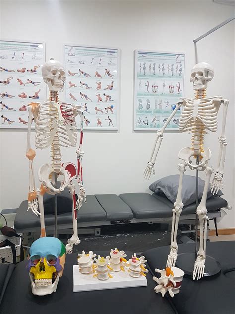 Update Model ใหม่ๆ บ้านใจอารีย์ คลินิกกายภาพบำบัด สาขาเพชรเกษม 81