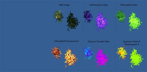 Bti Plant Phenotyping Facility Cals
