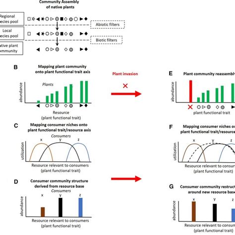 Community Assembly Theory Provides The Context For Understanding Native