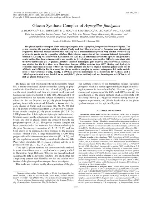 Pdf Glucan Synthase Complex Of Aspergillus Fumigatus
