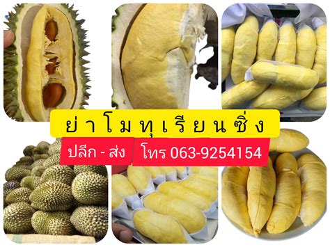 โรงเรียนพระแม่มารีประจว โรงเรียนพระแม่มารีประจวบคีรีขันธ์