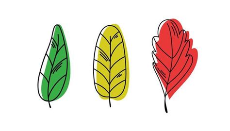 Page 2 Welsh Feathers Vector Art Icons And Graphics For Free Download