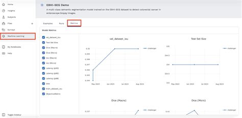 Machine Learning Lifeomic Platform Documentation