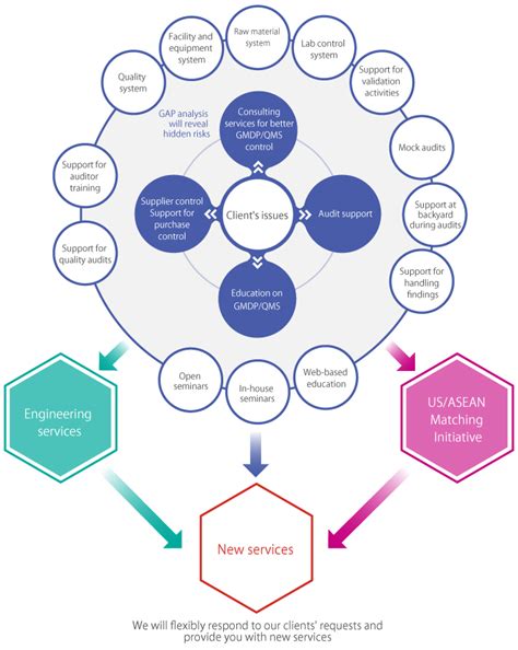 Gmp Consulting En CMPlus
