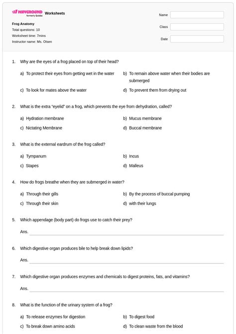 50 Frog Dissection Worksheets For Class 10 On Wayground Free And Printable