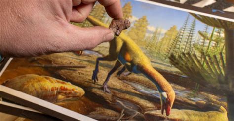 North Americas Oldest Dinosaur Fossil Uncovered Dating Back 230 Million Years