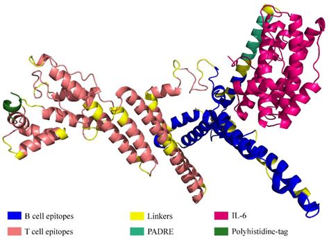 Tertiary Structure Of The Protein Comprising Multiple Epitopes Download Scientific Diagram