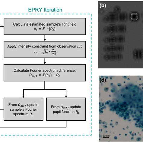 Digital Refocusing Ability Of Fpm A Flowchart Of Fpm Epry Digital