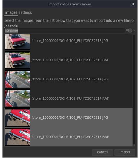 importing images with ignore jpeg files selected still imports images to filesystem · issue
