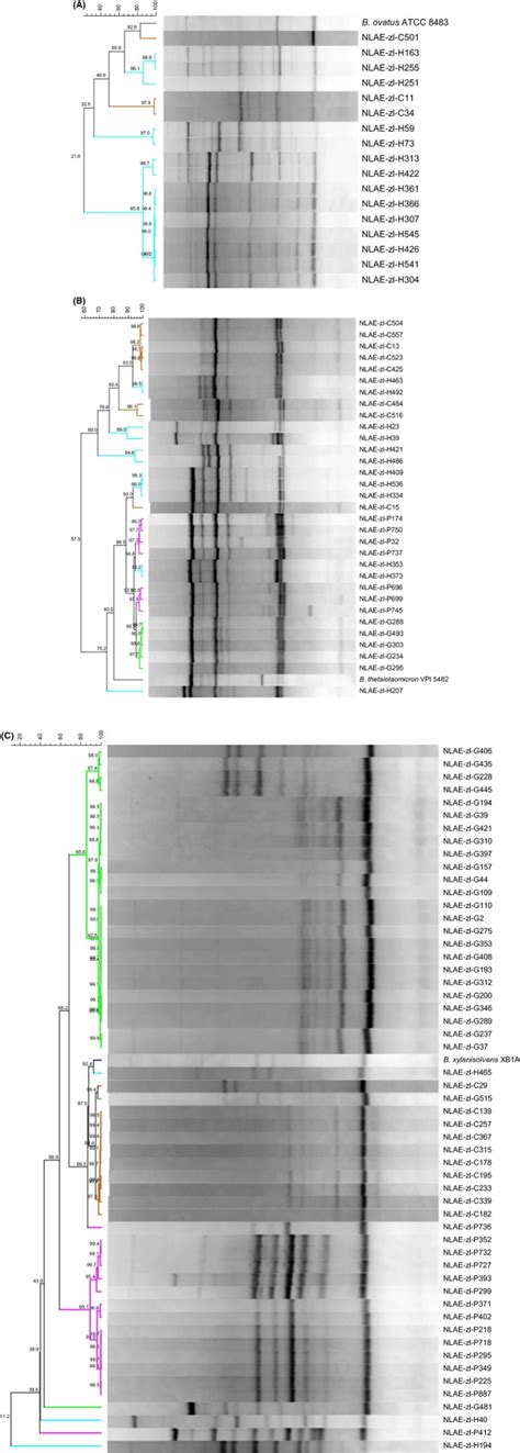Cluster Analysis Of Eric Primers Rep Pcr Similarity Values A