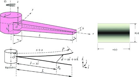 Configuration Of The Functionally Graded Double Tapered Rotating Beam