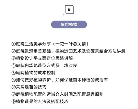 笨鸟文化