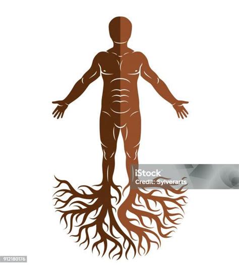 흰색 바탕에 서 고 나무 뿌리를 사용 하 여 만든 강한 남성 바디 실루엣의 벡터 그래픽 그림 생명의 나무는은 유 가족의 뿌리