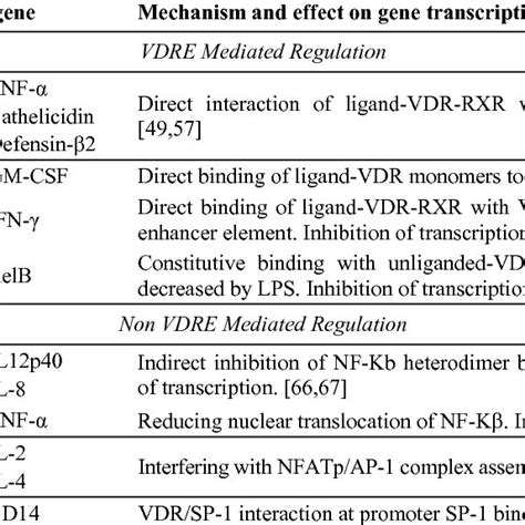 Schematic Structure Of The Vitamin D Receptor Vdr Protein Holds Download Scientific Diagram