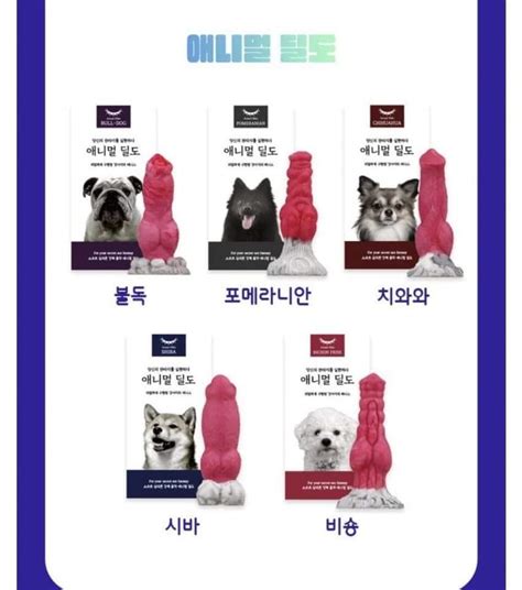 나와서는 안될 무언가가 나왔다 DogDrip Net 개드립