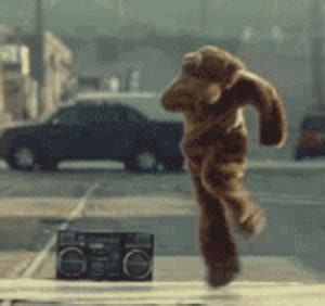 Download Funny Dancing Bear Boombox Street   Abyss