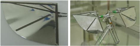 Eap Sensors On A Flapping Wing Mav Yang Et Al 2007 Download Scientific Diagram