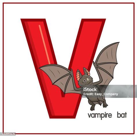 흰색 배경에 격리 된 뱀파이어 박쥐의 벡터 그림 영어 편지를 인식하기 위해 어린이를위한 교육 및 학습 미디어로 사용하기위한 수도 문자 V 또는 아이들이 집과 학교에서 배우는