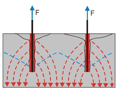 Module Rebar Design