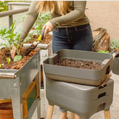 Worm Composting Bin Diy Step By Step Guide For Beginners