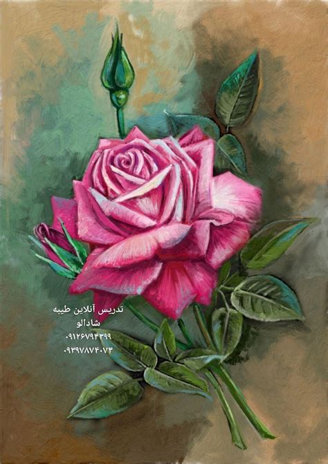 نقاشی گل رز
