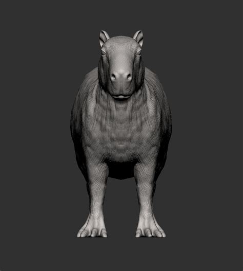 Stl File Capybara 3d Print Model ⛰️ Obj ・3d Printing Template To Download・cults