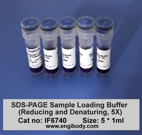 Sds Page Sample Loading Buffer Reducing And Denaturing 5x