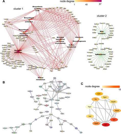 Top 10 Hub Genes Of Proteomics Revealed By Network Analysis A The Download Scientific Diagram