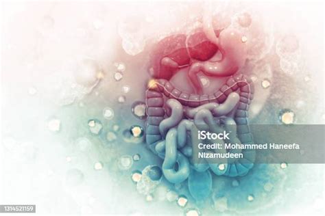 과학적 배경에 인간의 소화 시스템 3d 일러스트레이션 개체 그룹에 대한 스톡 사진 및 기타 이미지 개체 그룹 인체 3차원 형태 Istock