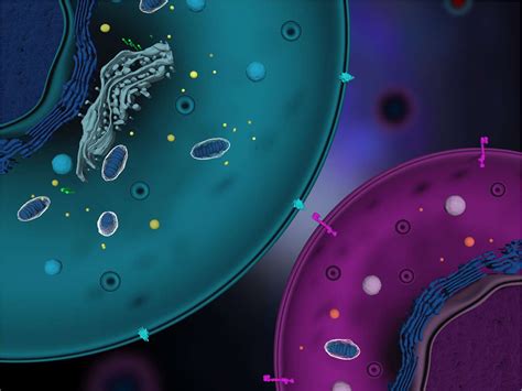 Advances In Sirna Drug Research