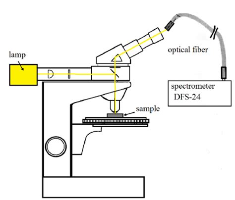 Schematic Image Of Reflectance Measurement Setup Download Scientific