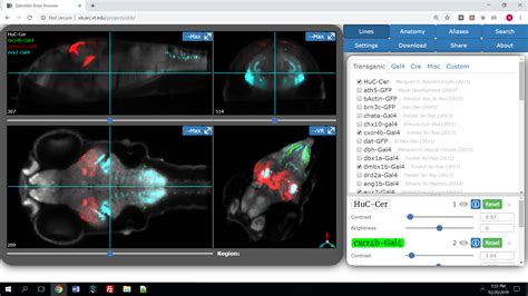 Examples Web3d Consortium