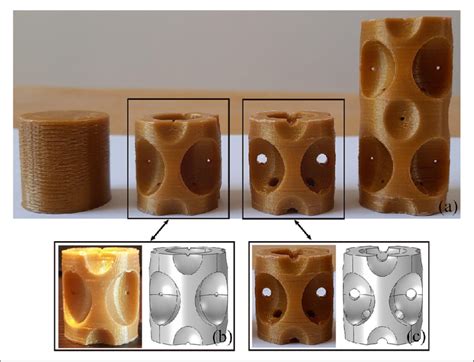 A The Four Different Types Of The Fabricated Specimens Which Were Download Scientific Diagram
