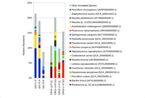 Relative Abundance Of Species Based On Shotgun Metagenomic Reads