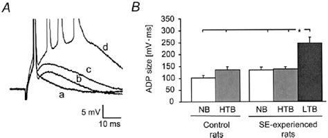 Figure 3 From Long Lasting Modi®cation Of Intrinsic Discharge Properties In Subicular Neurons