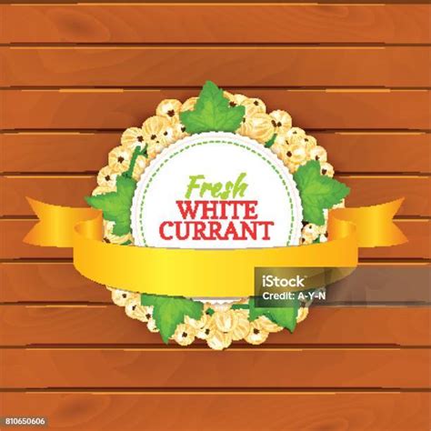 보드 나무 배경 테두리와 흰색 건포도 과일과 골드 리본 구성 컬러 프레임 라운드 벡터 카드 그림입니다 동그라미 건포도 레이블 과일 열매 고 포장 디자인에 대 한 가을에 대한