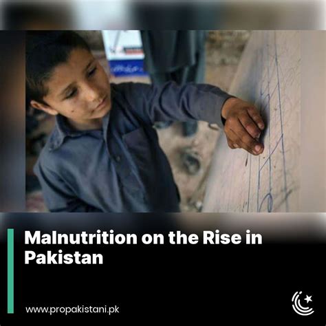 Syed Ahmer Ali Rizvi Posted On Linkedin Syed Ahmer Ali Rizvi Posted On Linkedin