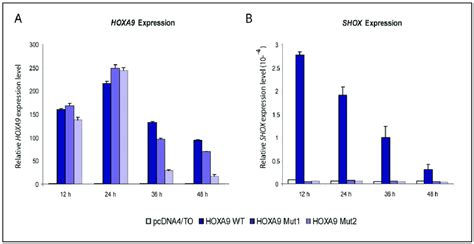 Hoxa9 Overexpression In U2os Cells Increases Shox Expression A