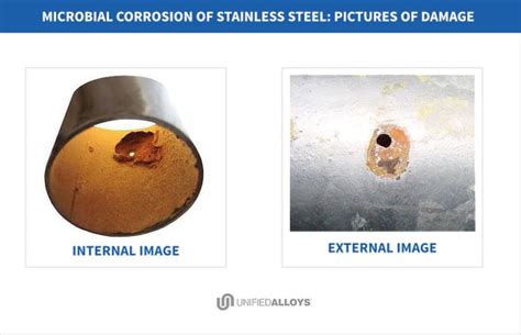 How Tiny Bacteria Can Create Big Problems Microbial Corrosion Explained Unified Alloys