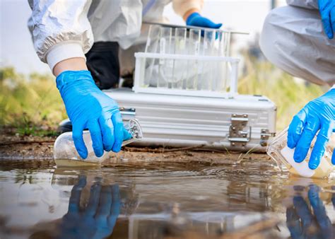 Pine Environmental Services Saw Mill Capital