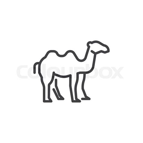 Camel Side View Line Icon Stock Vector Colourbox
