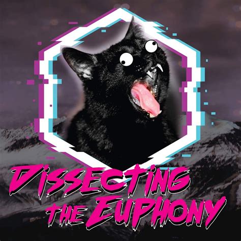Dissecting The Euphony Youtube