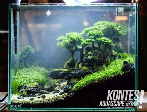 21 Best Aquascaping Design Ideas To Decor Your Aquarium Tips Inside
