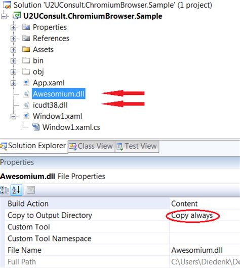 Diederik Krols Wpf Browser Control Battle Chromium Versus Internet