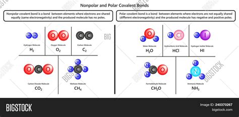 Polar Covalent Molecule