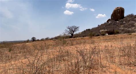 Aiagriculture Datadrivenfarming Precisionag Smartfarming Agtechinsights Marketintelligence