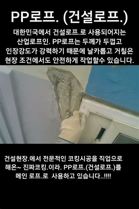 Pp로프건설로프공사로프산업로프로프공외부 로프 작업 외벽 로프작업 페인트코킹청소견출기타등 건설 기술직 기술자 카페 아파트 실리콘 코킹진짜 기술자