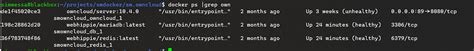 Owncloud Docker Compose Server Unhealthy Cannot Stop Or Even Exec A Shell Inside Container