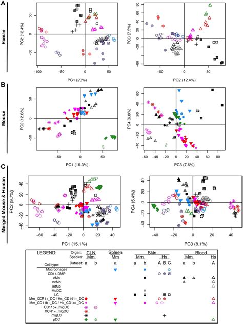 Relationships Between Mp Subsets By Pca Principal Component Analysis