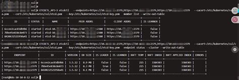 从etcdserver Request Timed Ot到毫秒响应:三节点集群ssd存储迁移全记录 Csdn博客 从etcdserver Request Timed Ot到毫秒响应:三节点集群ssd存储迁移全记录 Csdn博客